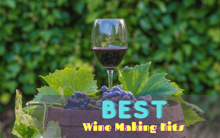 10 Best Wine Making Kits In 2023 (REAL Customer Pics Included!) Review ...