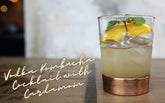 Vodka Kombucha Cocktail with Cardamom Recipe – Advanced Mixology