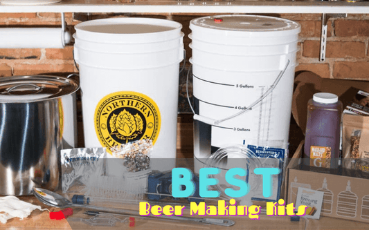 13 Best Beer Making Kits For Homebrewers In 2023: Reviews & Buying Gui ...