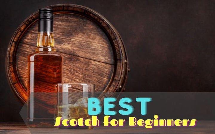 15 Best Scotch For Beginners That Will Make You A Better Drinker ...