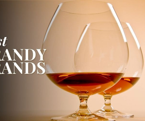 20 Best Brandy Brands For All-Around Gatherings – Advanced Mixology
