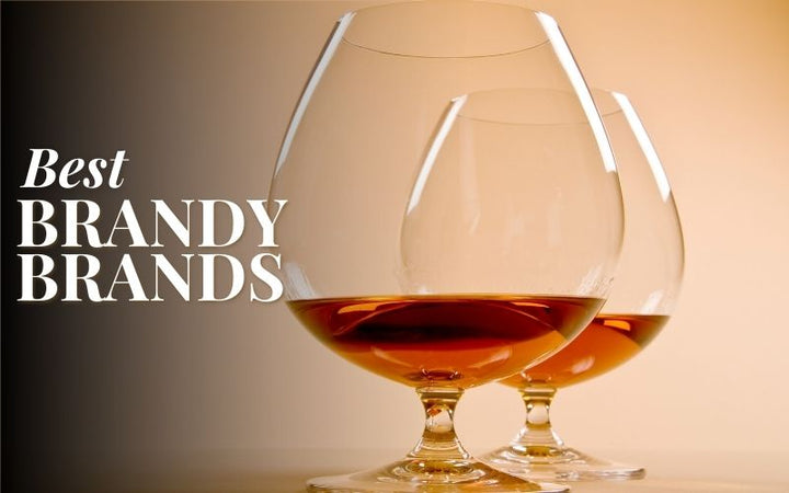 20 Best Brandy Brands For All-Around Gatherings – Advanced Mixology