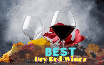 The Top 25 Best Dry Red Wines: A Guide For Beginners – Advanced Mixology