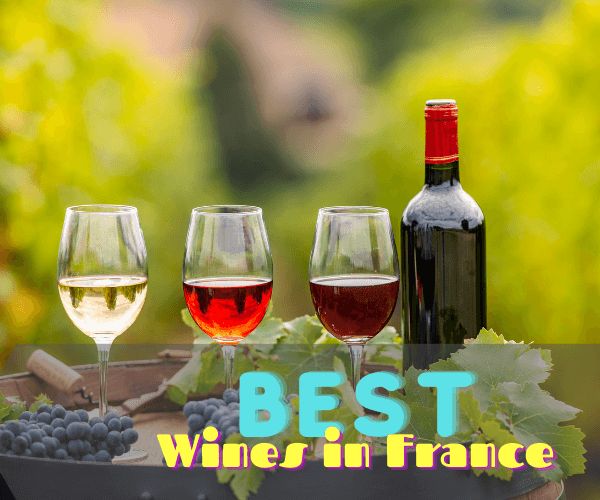 30 Best French Wines That Lets You Experience The Taste Of France ...
