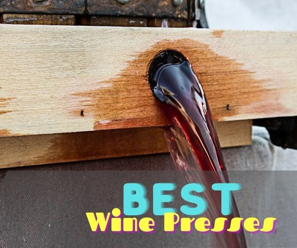 10 Best Wine Presses For Homemade Drink In 2023: Reviews & Buying Guid ...