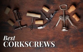 15 Best Corkscrews for Opening Wine Bottles Manually in 2023: Reviews ...