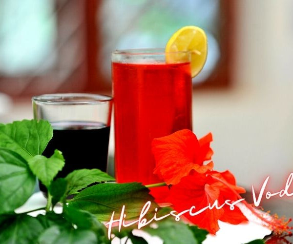 Hibiscus Vodka Recipe – Advanced Mixology
