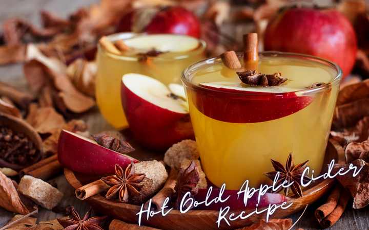 Hot Gold Apple Cider Recipe – Advanced Mixology