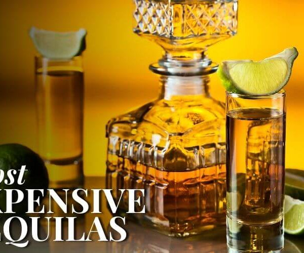 18 Most Expensive Tequilas Worth Collecting Or Savoring – Advanced Mixology
