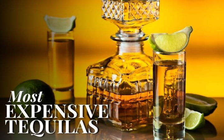 18 Most Expensive Tequilas Worth Collecting Or Savoring – Advanced Mixology