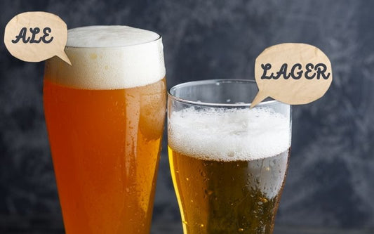 Ale Vs. Lager: Which Beer Is Perfect For You? – Advanced Mixology