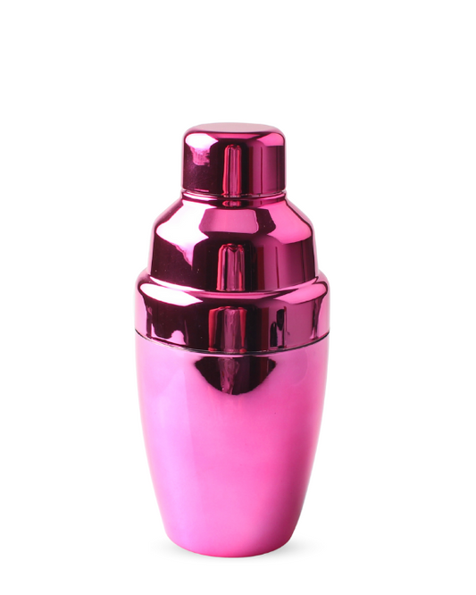 MINI COCKTAIL SHAKER – Advanced Mixology