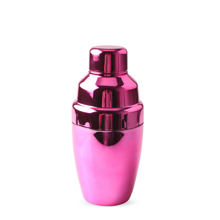 MINI COCKTAIL SHAKER – Advanced Mixology